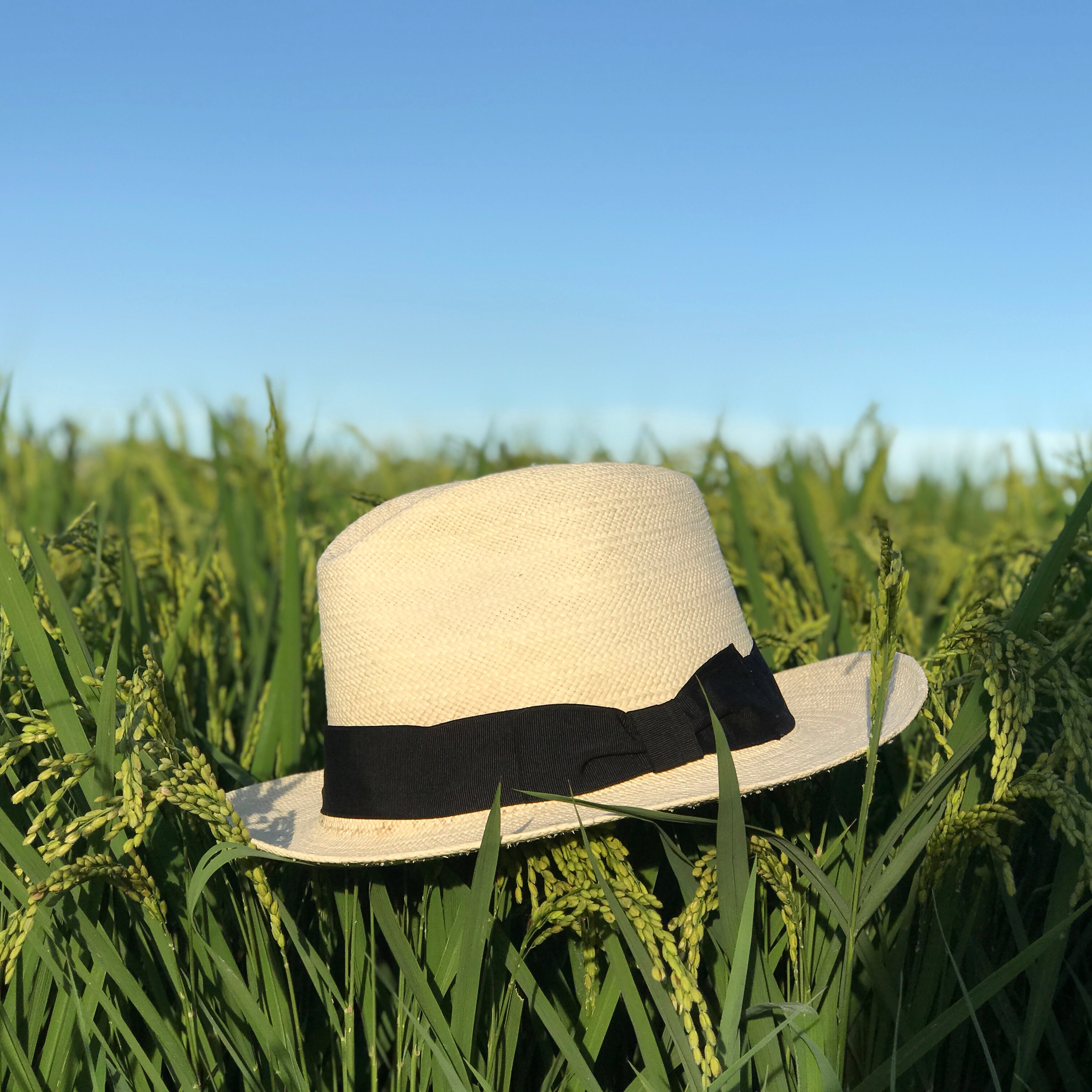 Aventura en la Naturaleza – K. Dorfzaun